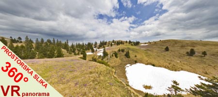 Velika planina ::Kamniško-Savinjske Alpe :: prostorski atlas